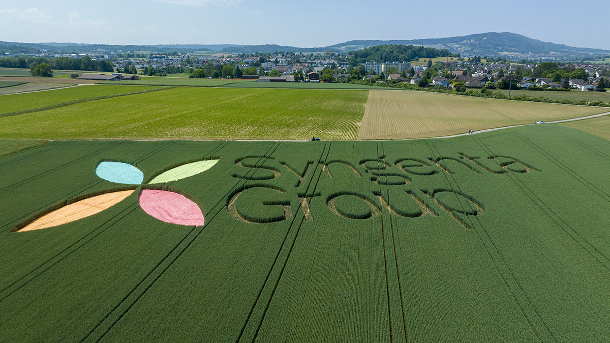 Our Brand | Syngenta Group