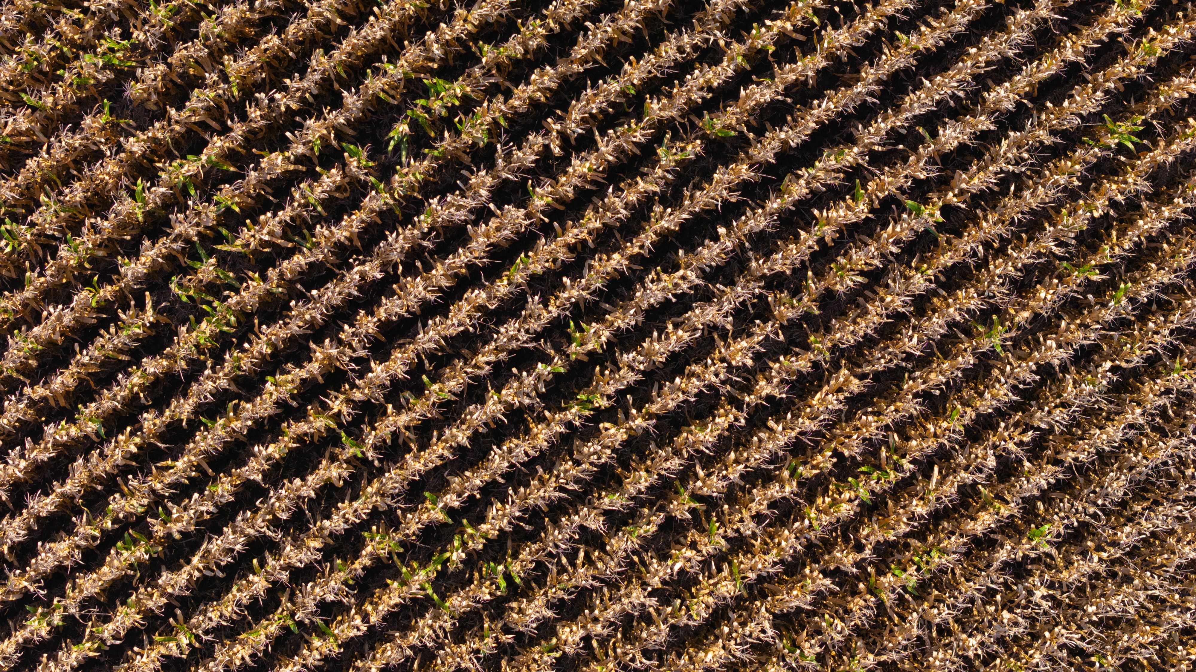 Reaping the rewards of agricultural innovation and sustainability ...
