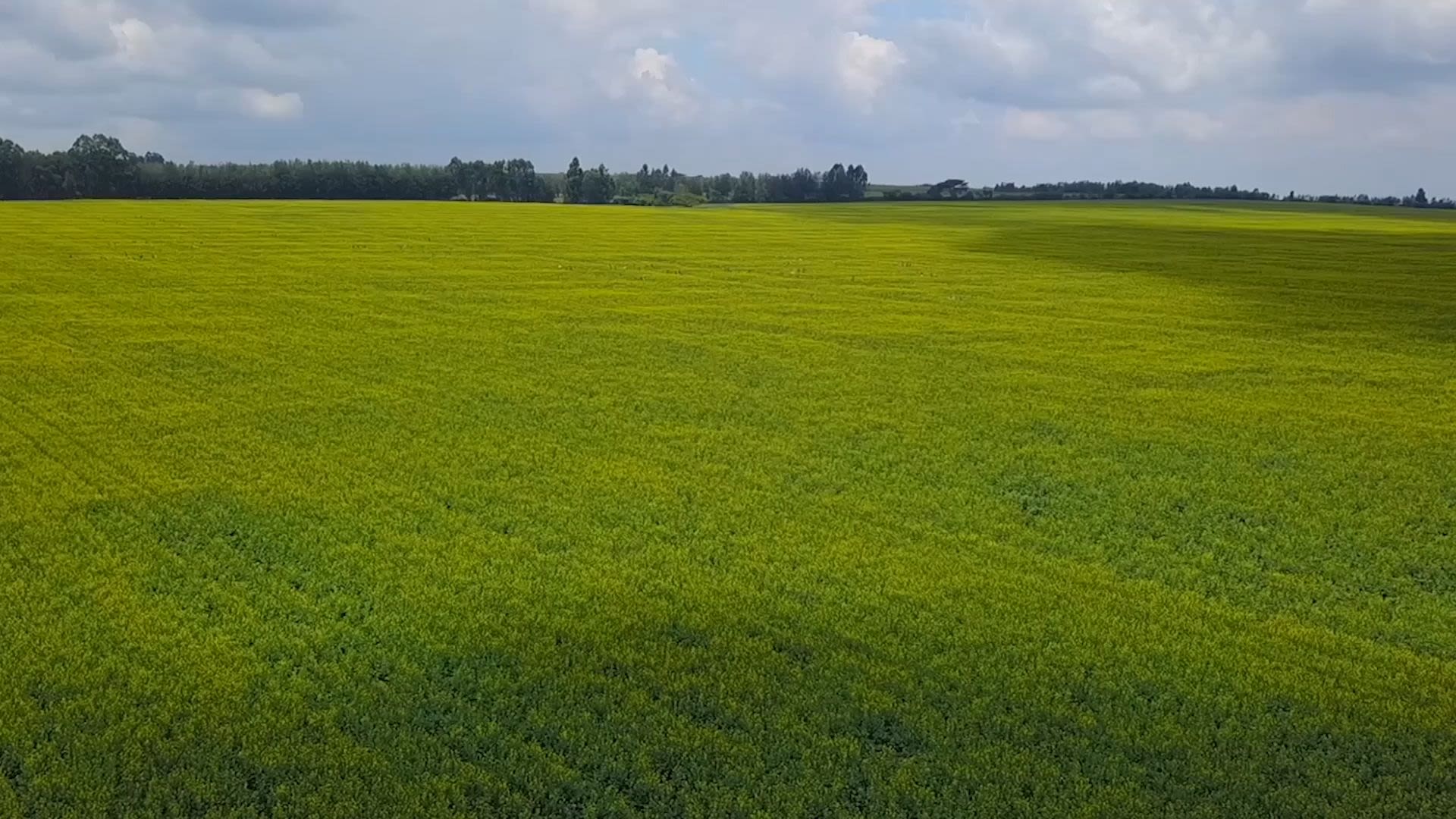 Kenyan farmers boost yields | Syngenta Group