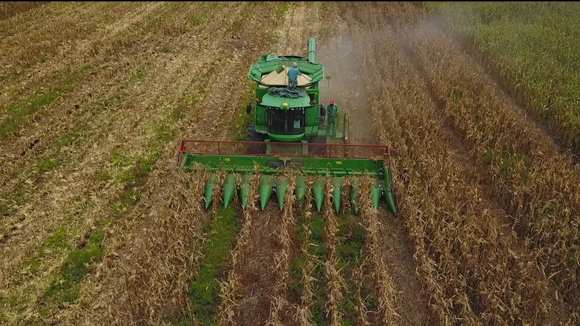 Kenyan farmers boost yields | Syngenta Group