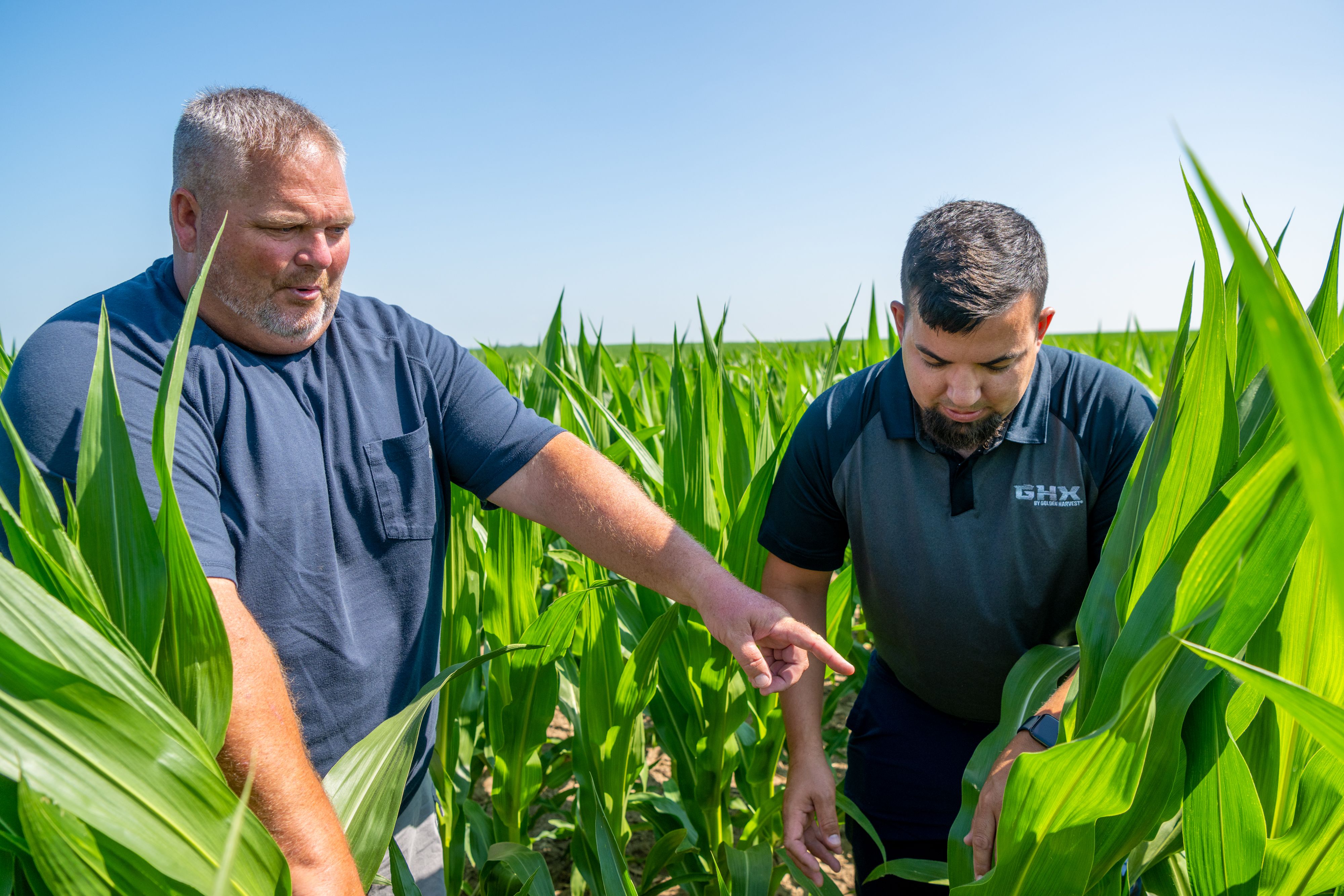 How new tech and family tradition produced a bumper crop in the U.S ...