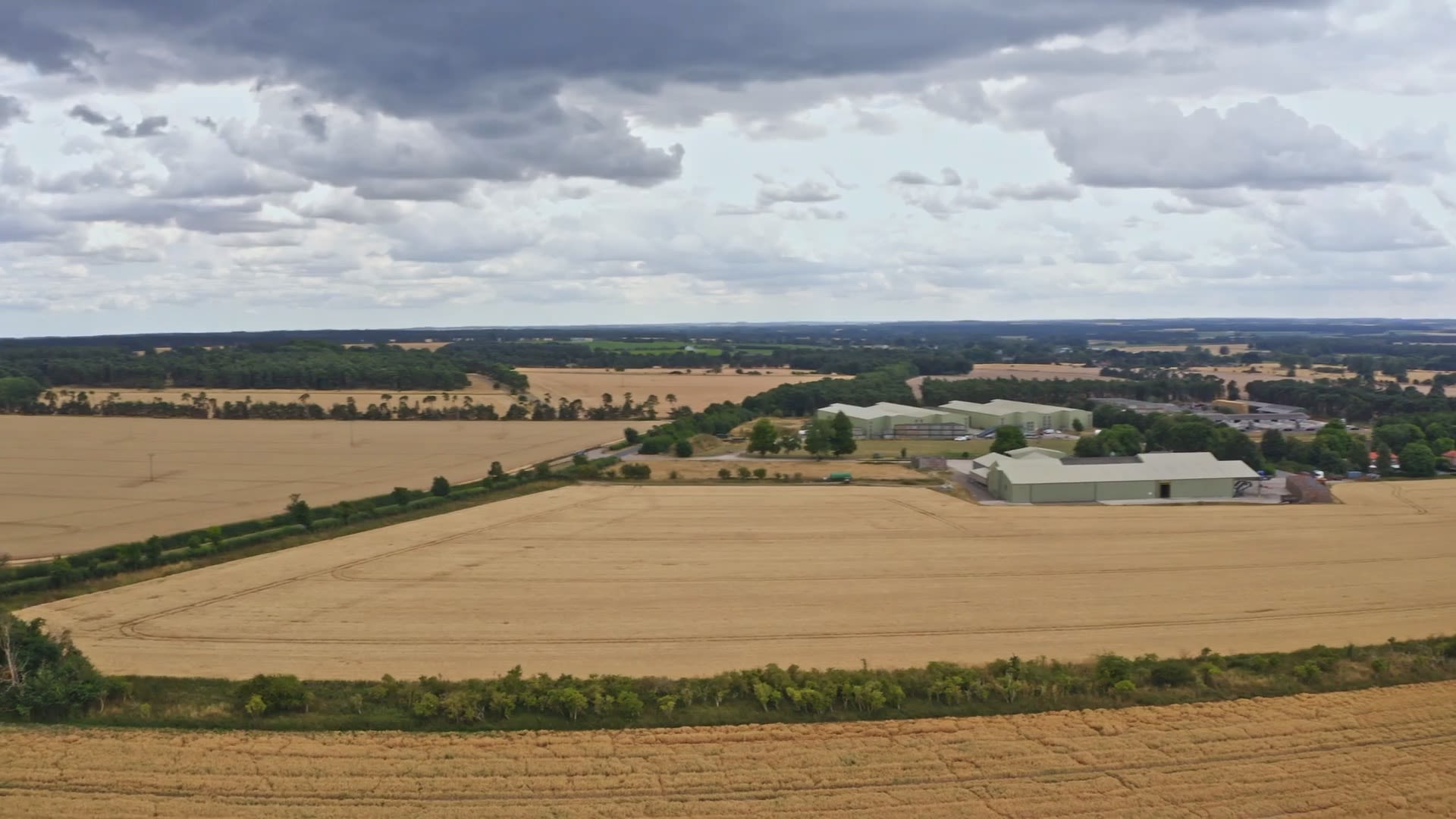 A bumpy ride: How change drives a flagship farm | Syngenta Group