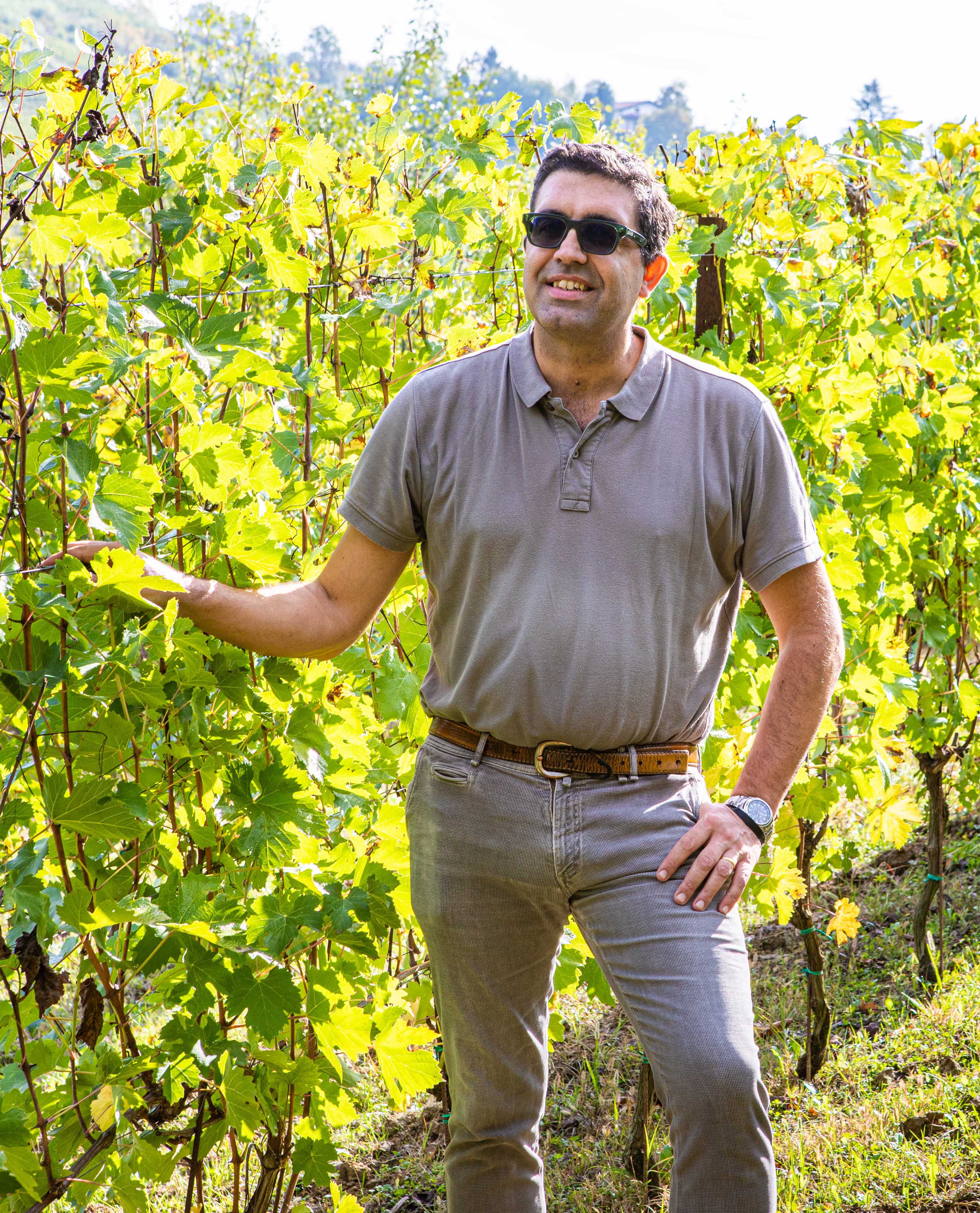 Cultivating sustainability in the ancient craft of winemaking ...