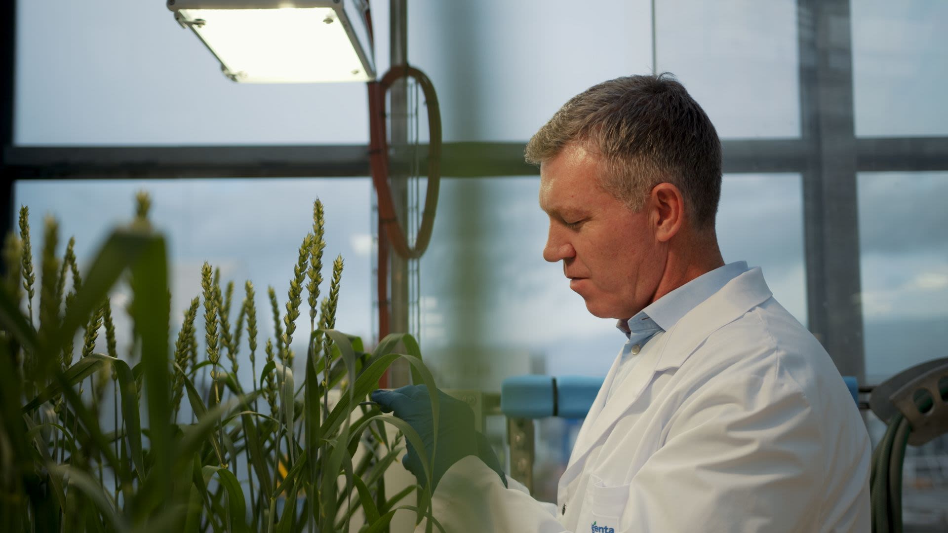 Plants Tour | Syngenta Group