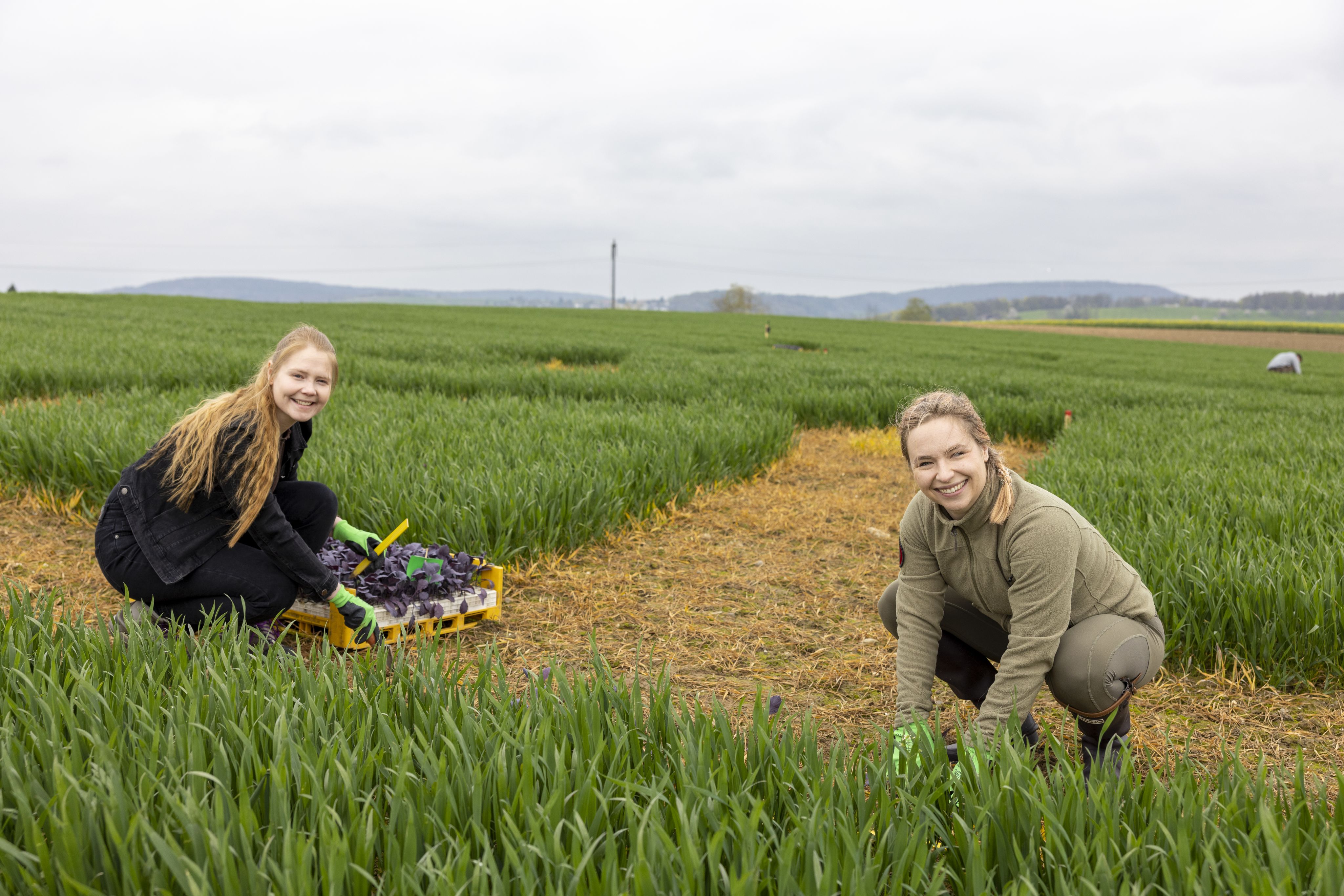The Syngenta Group logo has landed at Zurich Airport | Syngenta Group
