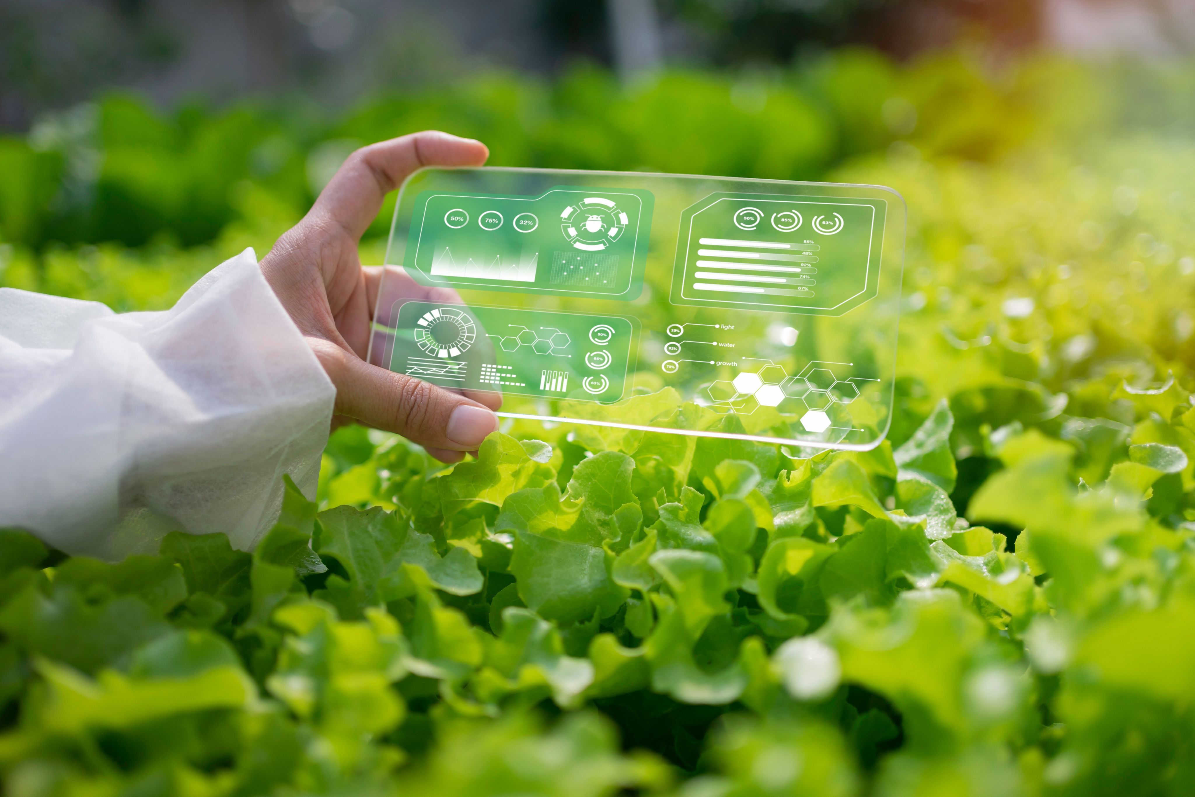 Hacking through the weeds | Syngenta Group