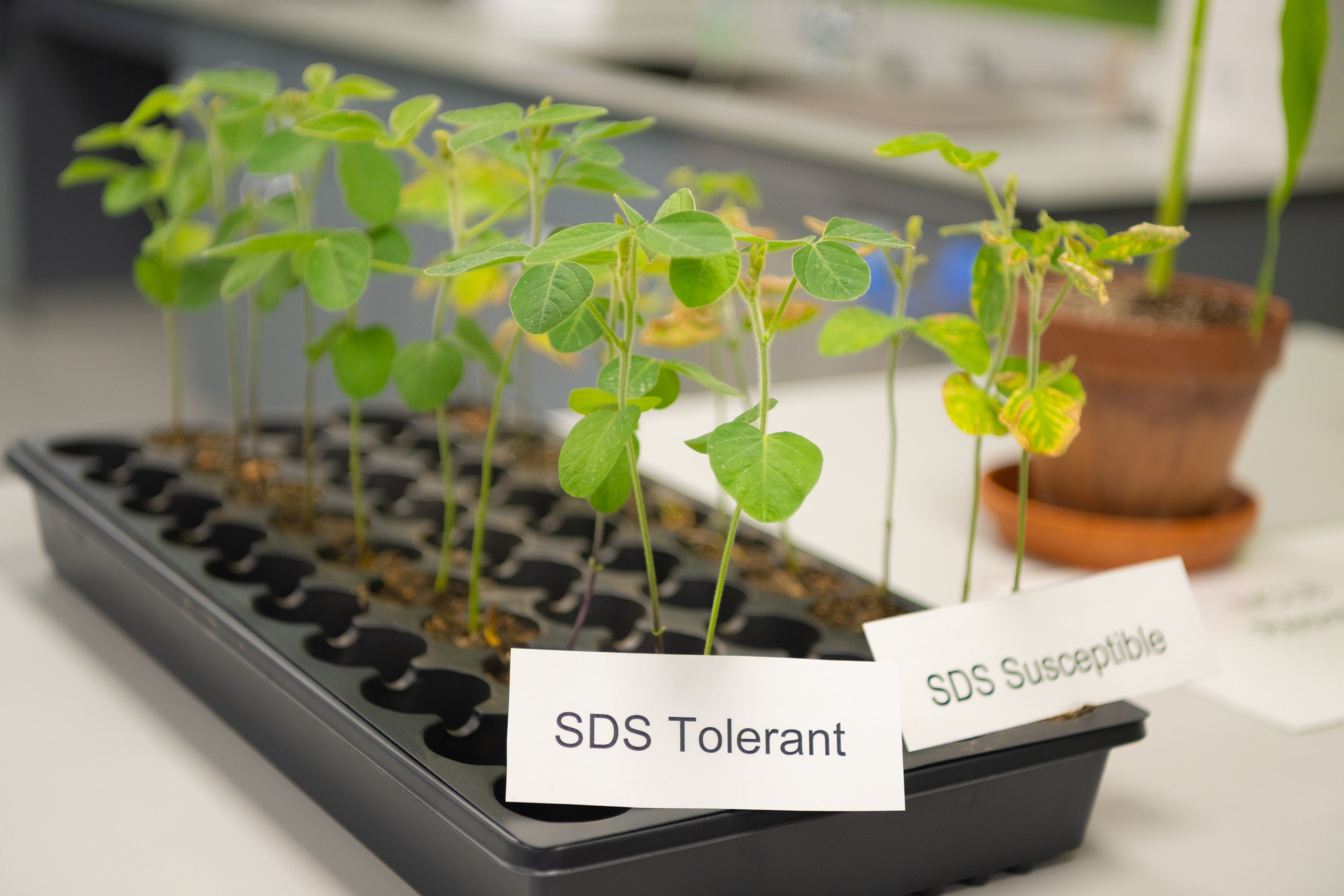 Spring planting starts earlier, goes faster and yields better results ...