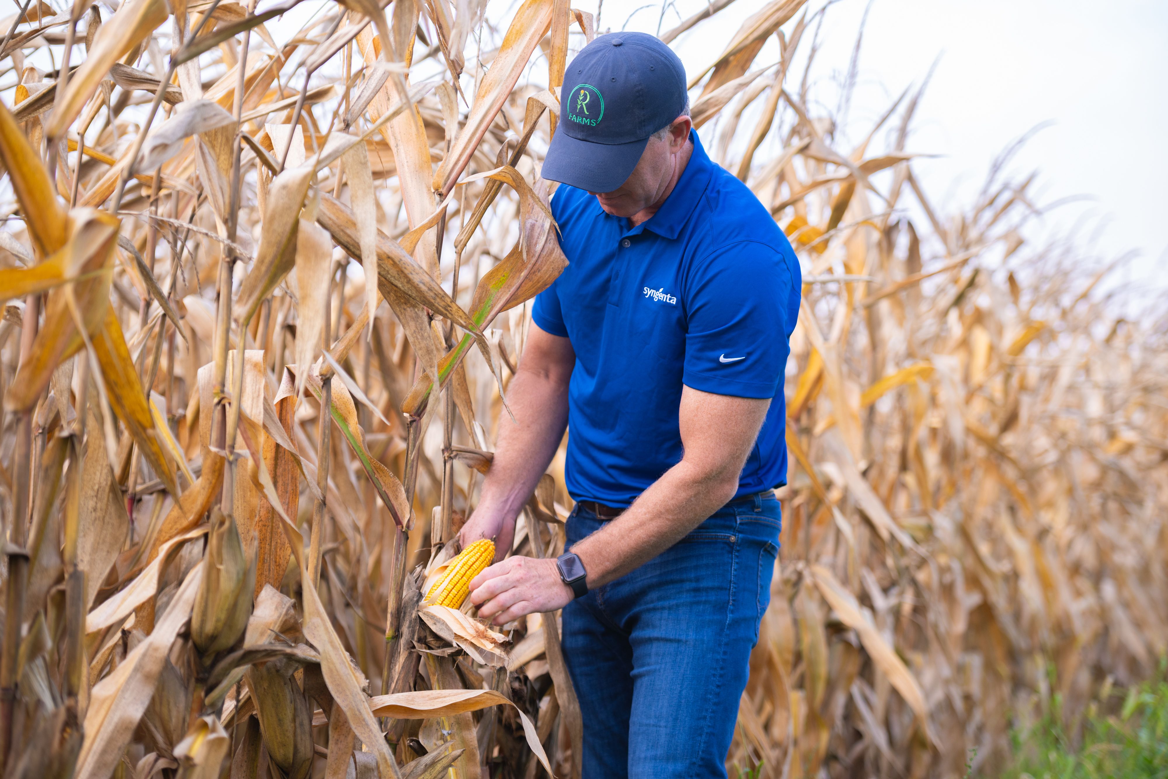 Measuring soil health with an eye on the future | Syngenta Group