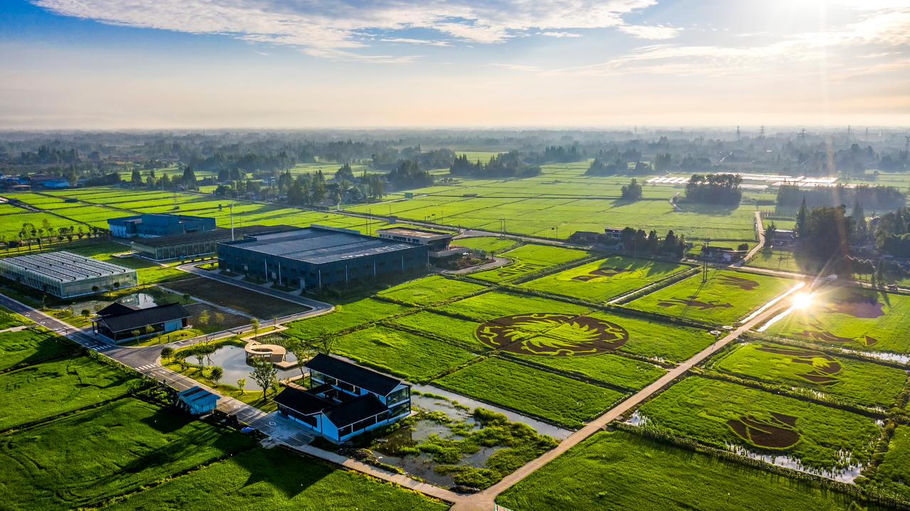 A productive collaboration, forged through earned trust | Syngenta Group