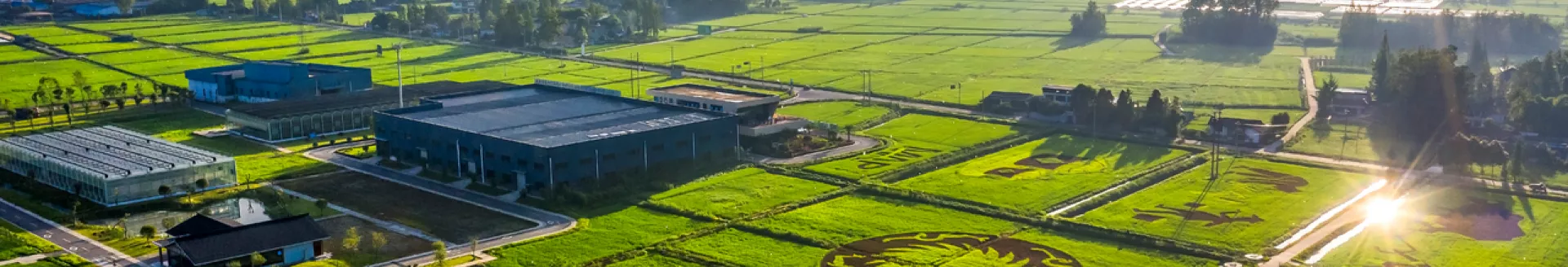 Syngenta Group China | Syngenta Group